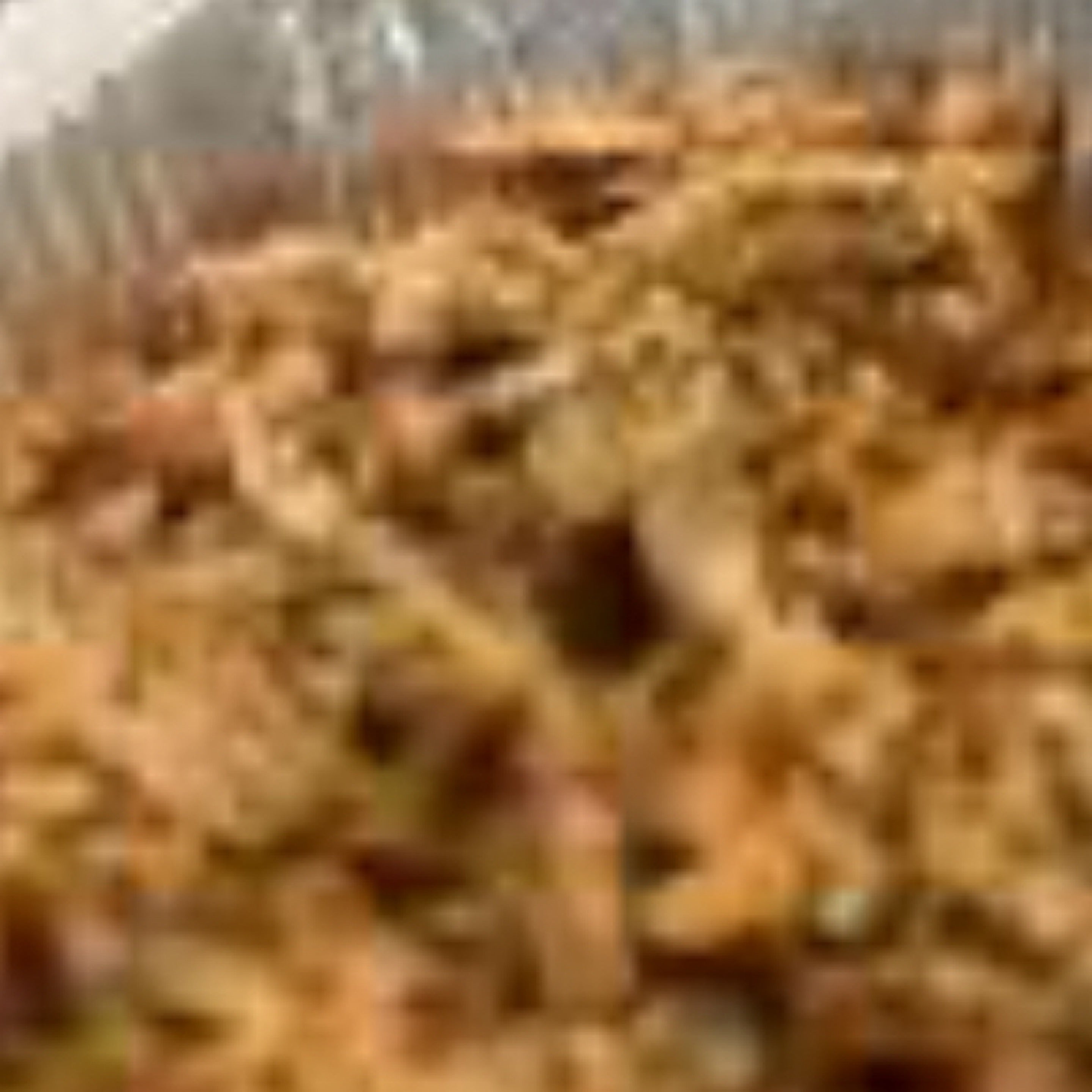 Family For Ten (3 Pounds gyro meat,10 pitas,2 pounds tzaiki,onions and ...